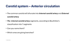 Cerebral Hemispheres: Arterial supply and Venous drainage | PDF