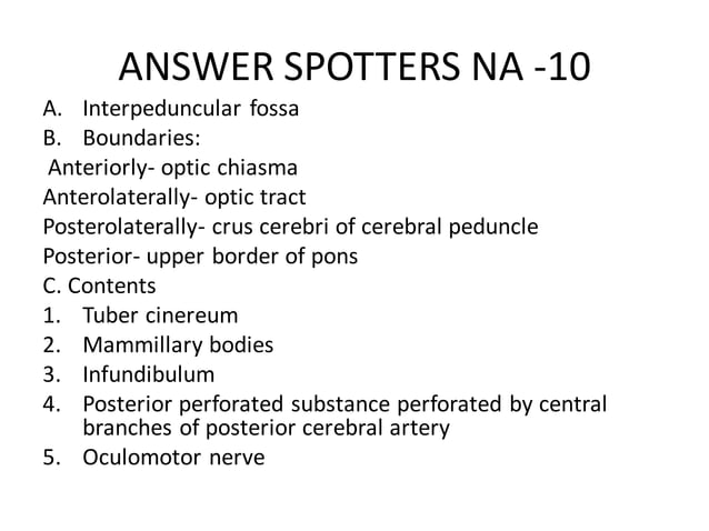 neuroanatomy spotters_240611_215632.pdf. | PDF