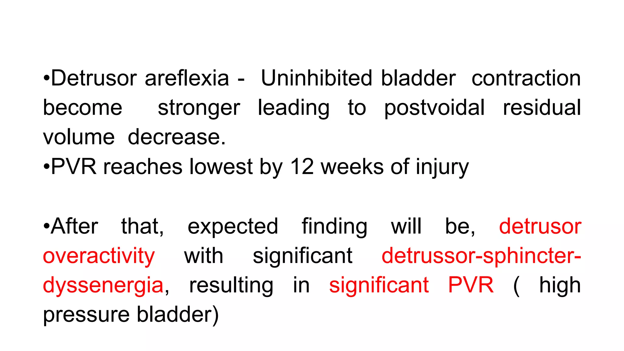 neuroantomy of bladder | PPTX