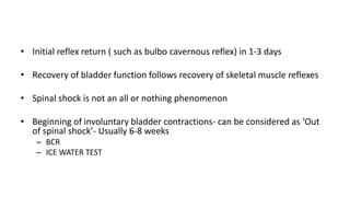 neuroantomy of bladder | PPTX
