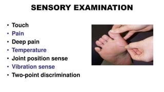 neuro assessment.pptx neuro disorders assessment | PPTX | Brain and ...