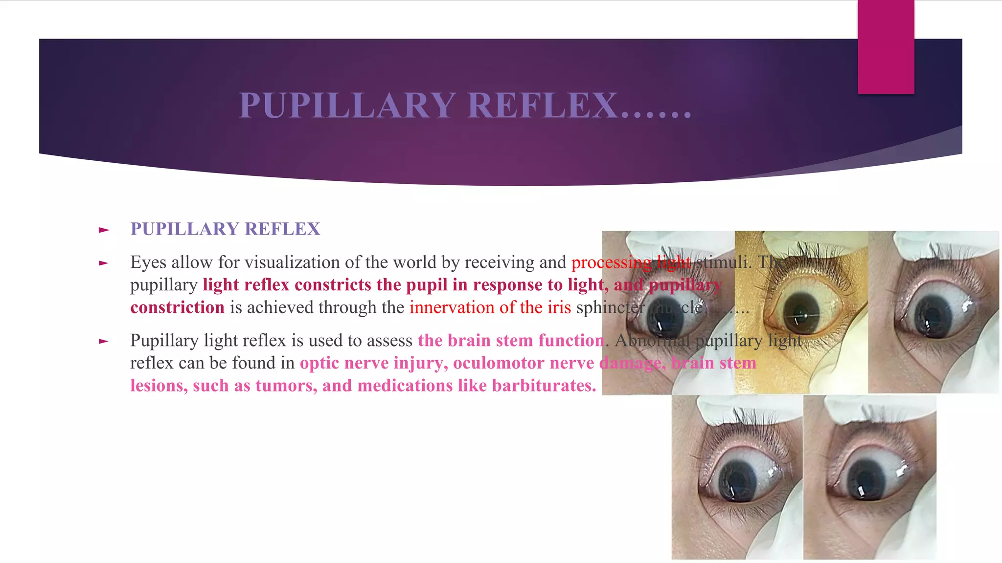 Neuro assessment for nurses | PDF