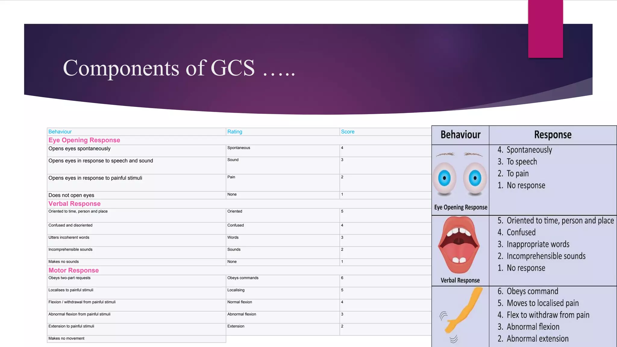 Neuro assessment for nurses | PDF