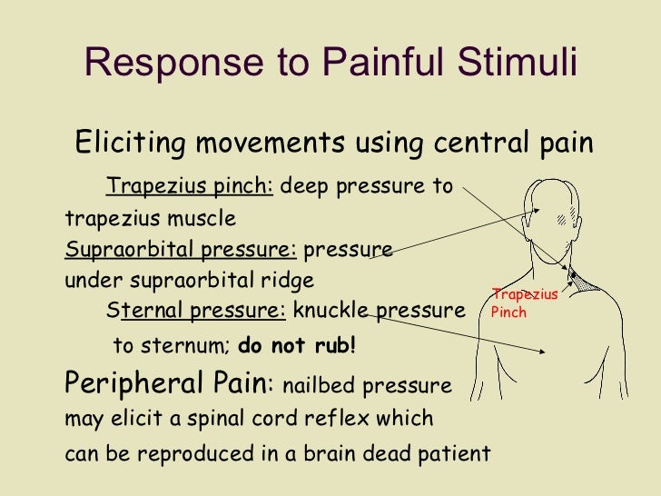 Neuro assessment hdsp final 10.09