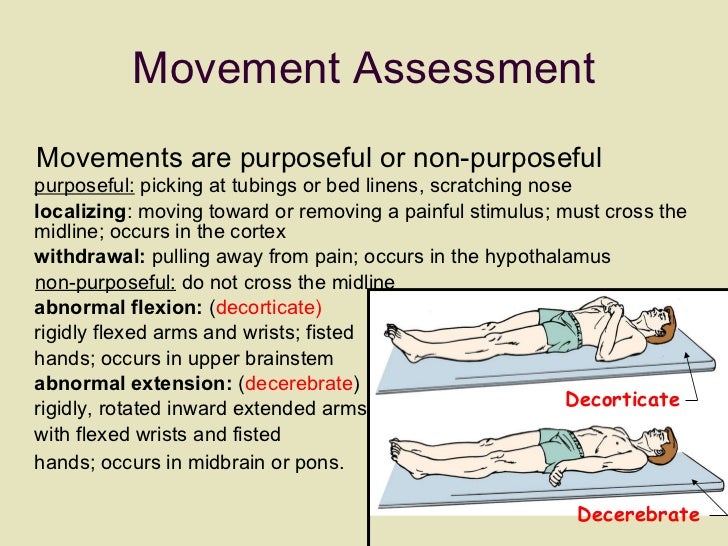 Neuro assessment hdsp final 10.09