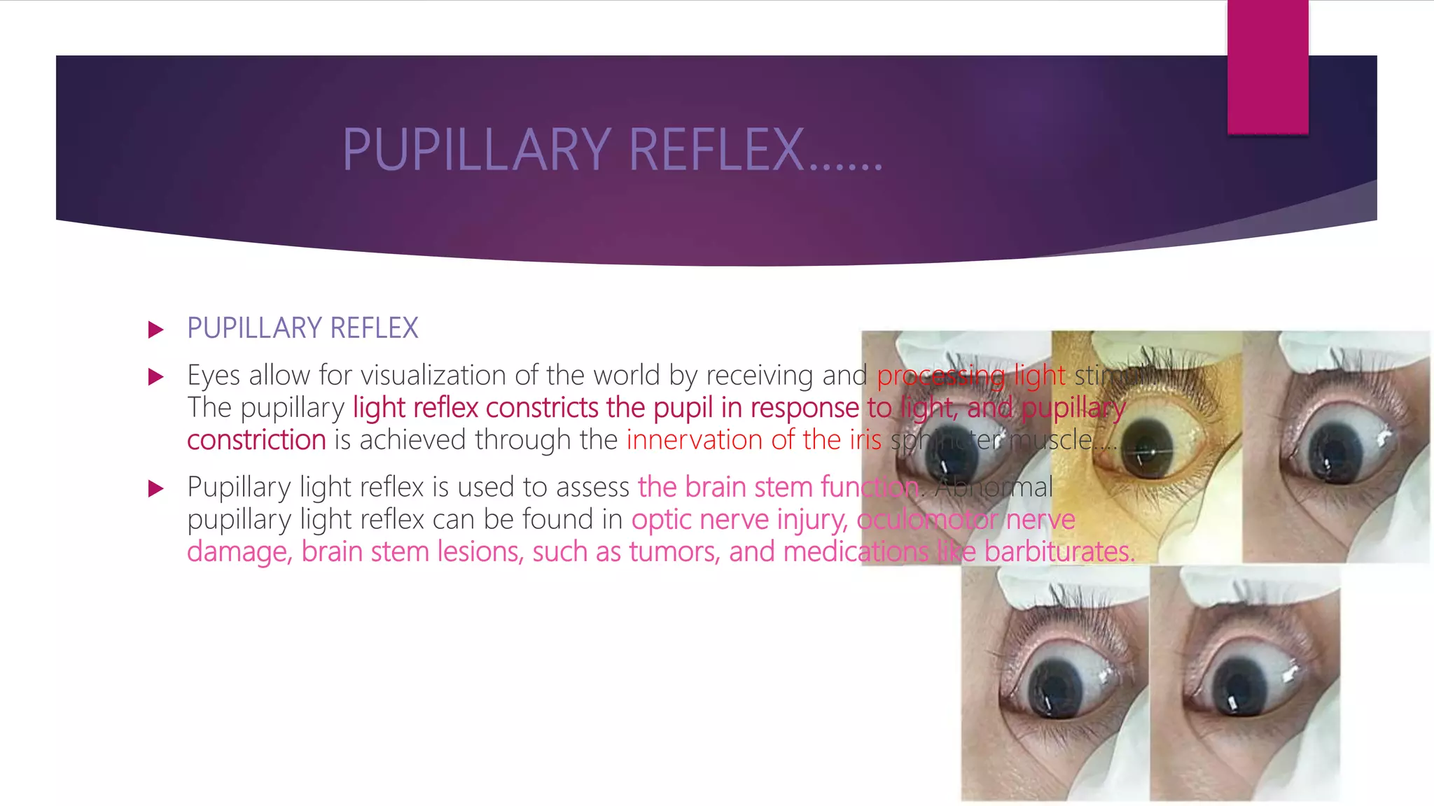 Neuroassessment important neuro reflex’s in icu for nurses +rass score ...