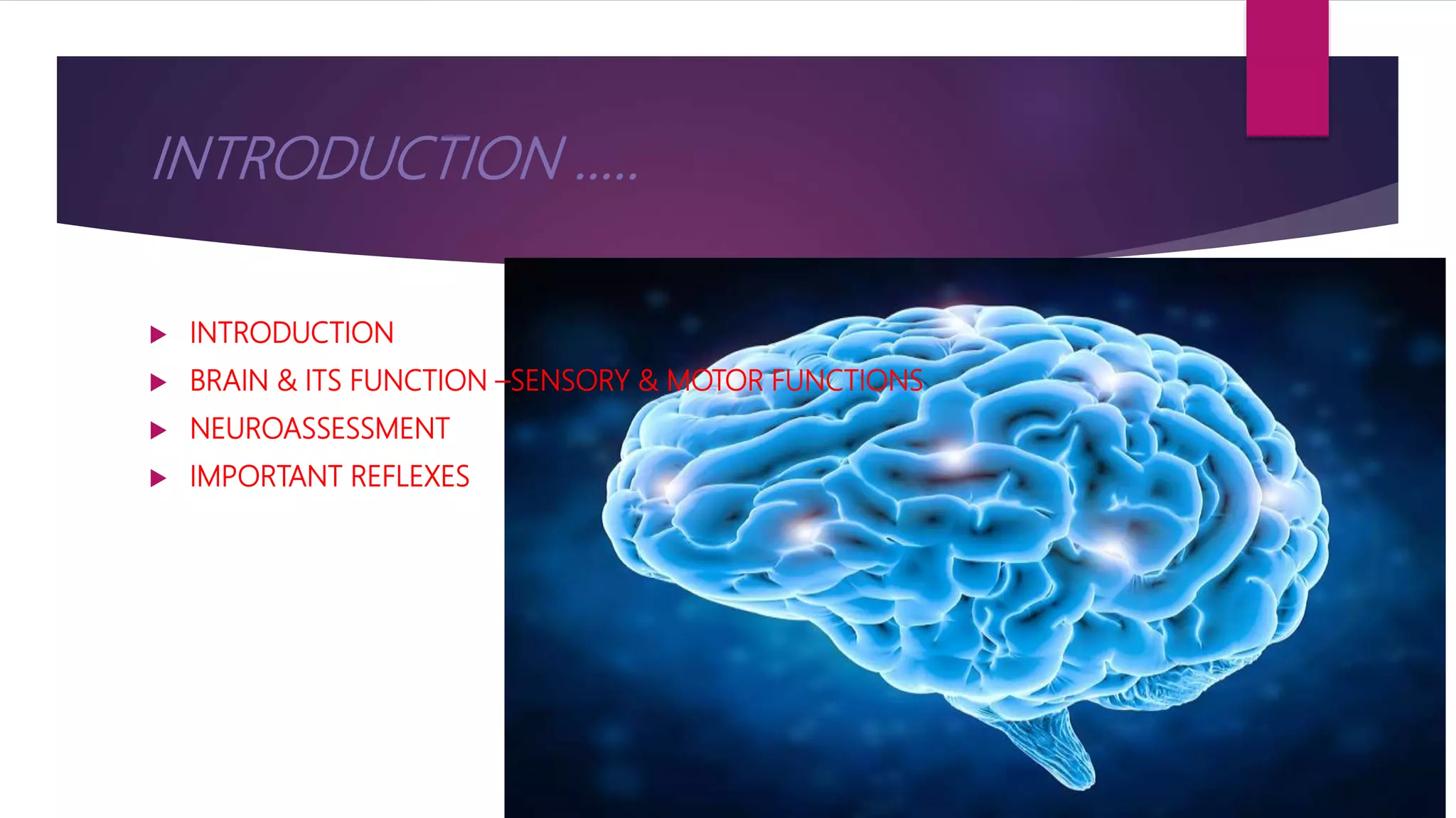 Neuroassessment important neuro reflex’s in icu for nurses +rass score ...