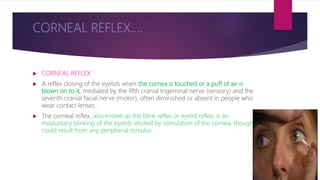 Neuroassessment important neuro reflex’s in icu for nurses +rass score ...