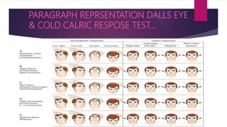 Neuroassessment important neuro reflex’s in icu for nurses +rass score ...