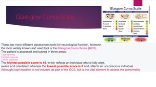 Neuroassessment important neuro reflex’s in icu for nurses +rass score ...