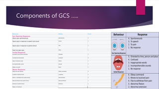 Neuroassessment important neuro reflex’s in icu for nurses +rass score ...