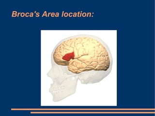 Final Project (Coursera, Understanding the Brain) | ODP