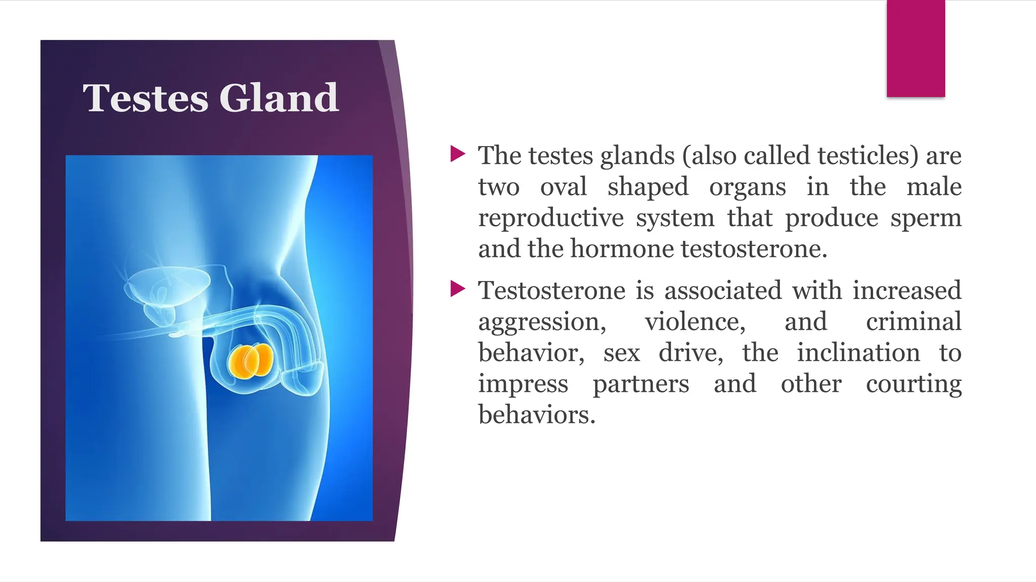 Neurobiological-Basis-of-Behavior (1).pptx