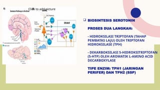 Neurobiologi dan Mekanisme Neurotransmiter Serotonin.pptx