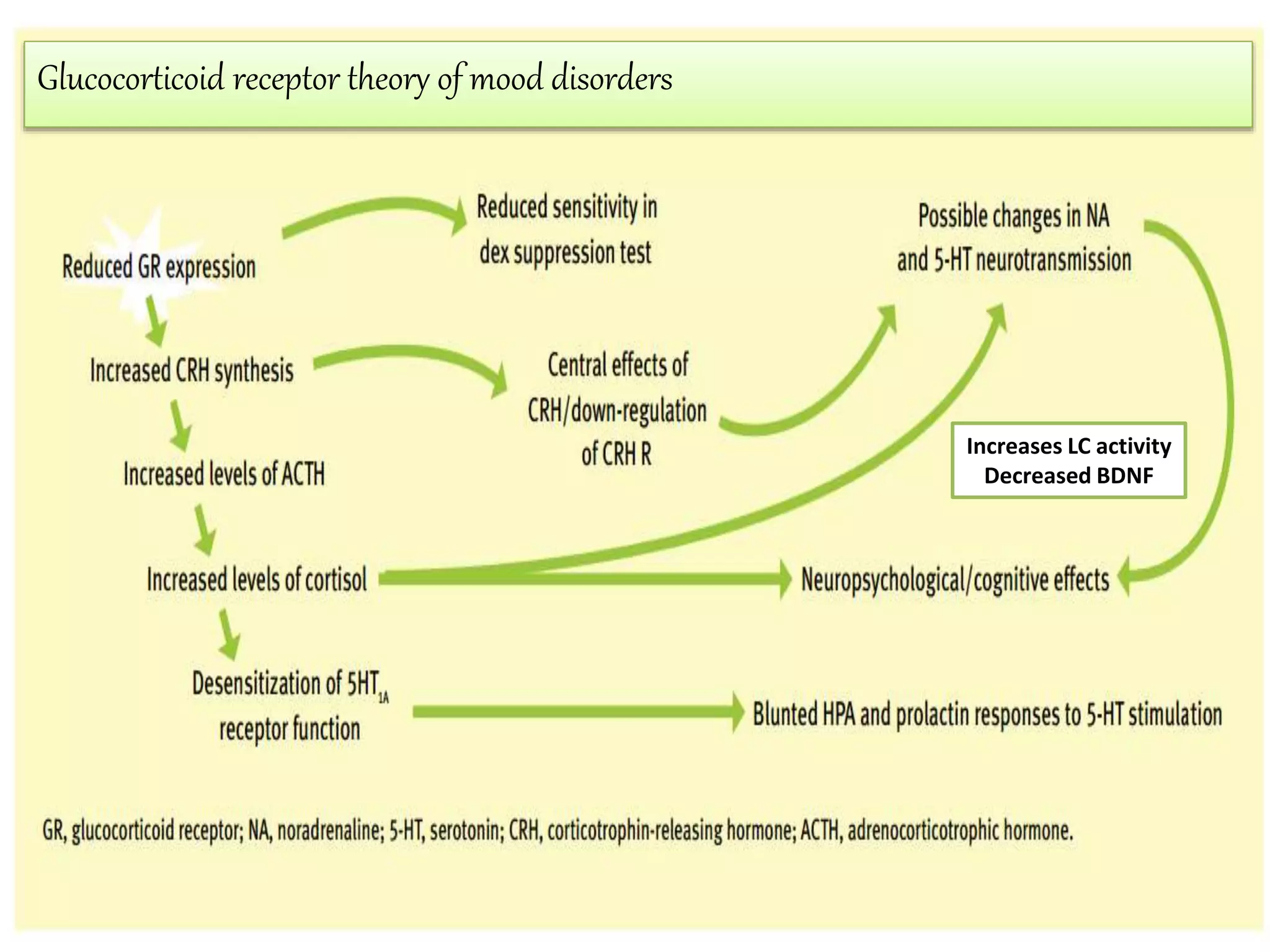 Neurobiology And Functional Brain Circuits In Mood Disorders Pptx Brain And Nervous System