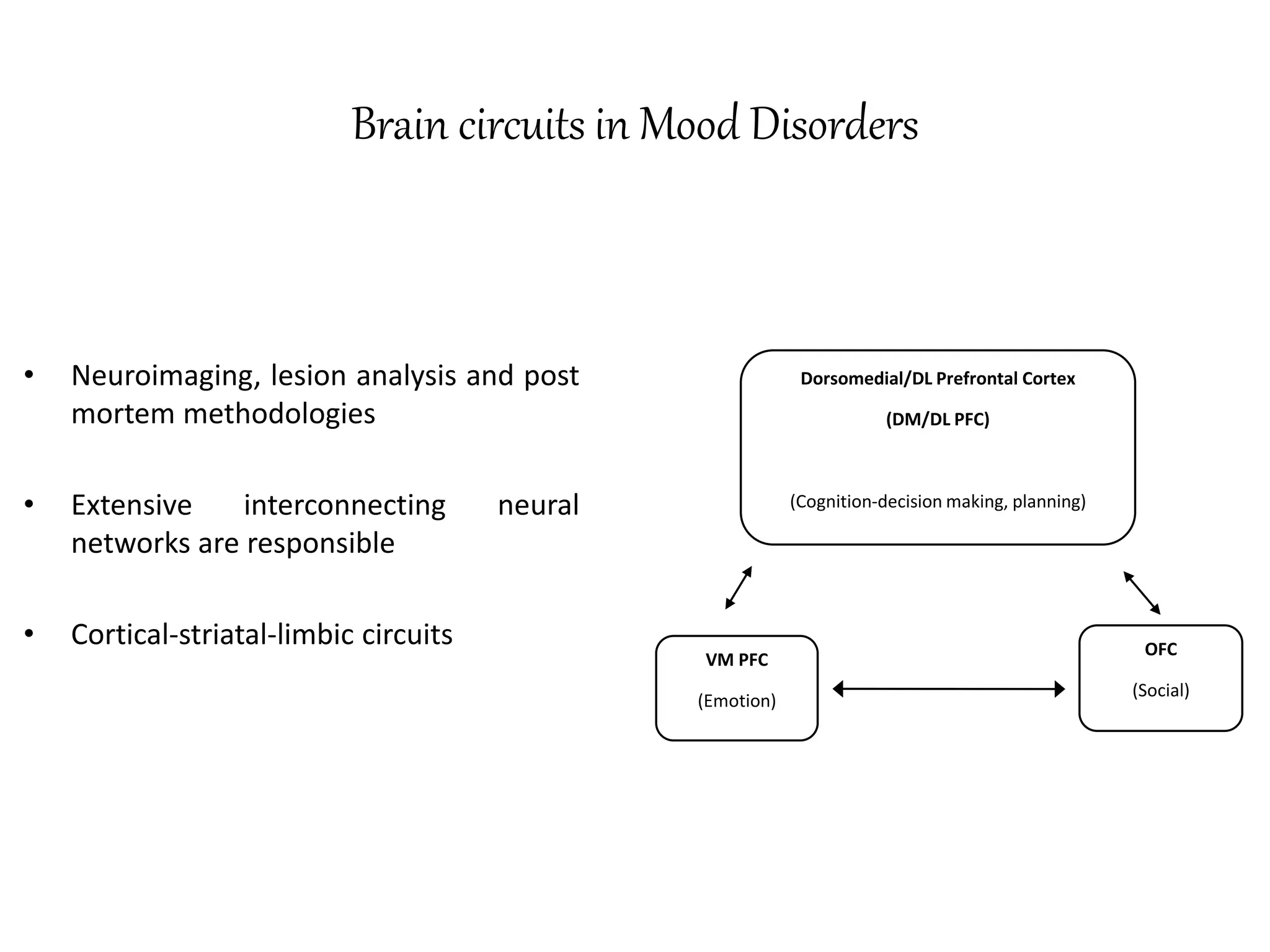 Neurobiology And Functional Brain Circuits In Mood Disorders Pptx Brain And Nervous System