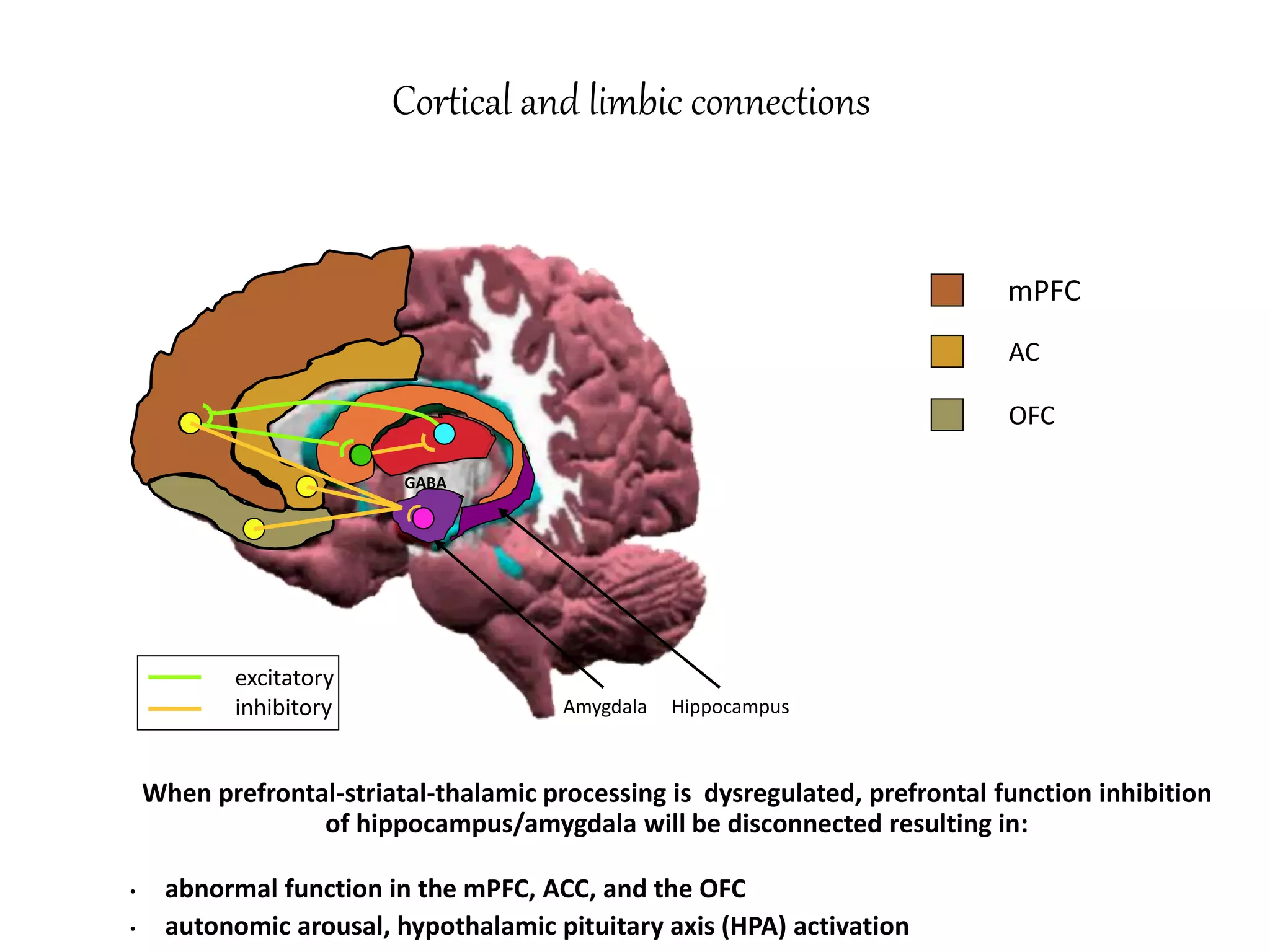 Neurobiology And Functional Brain Circuits In Mood Disorders Pptx Brain And Nervous System