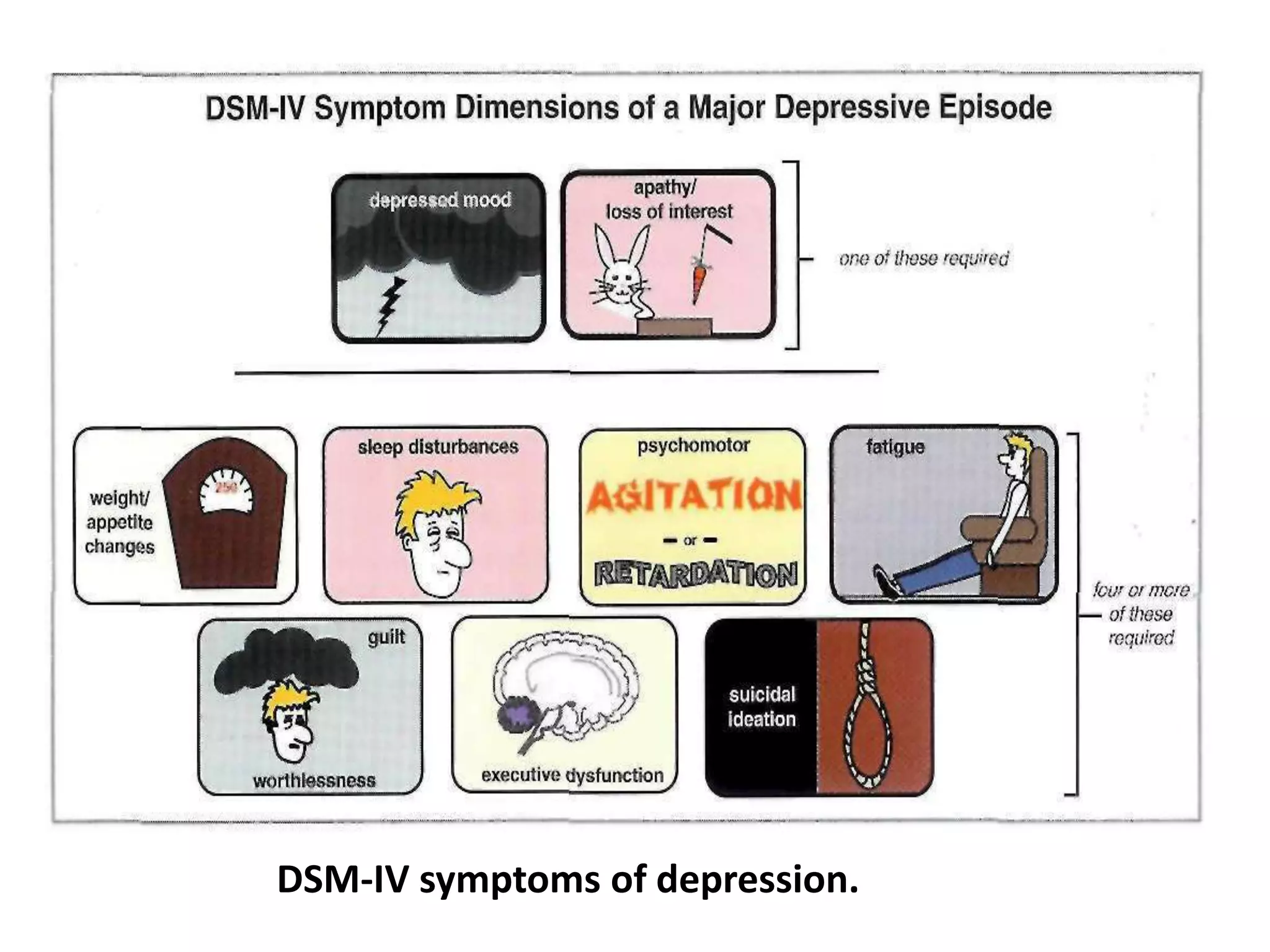 Neurobiology And Functional Brain Circuits In Mood Disorders Pptx Brain And Nervous System