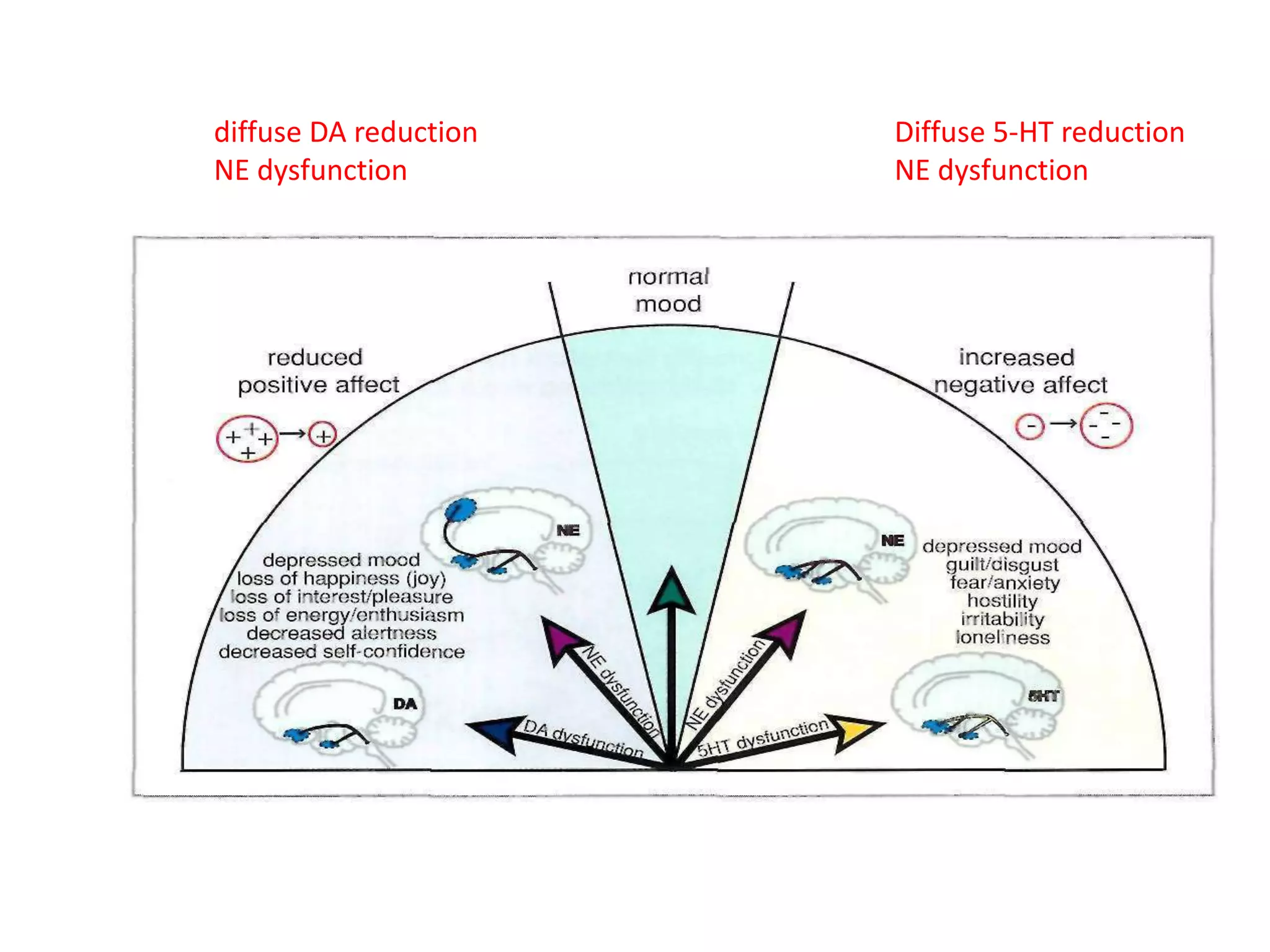 Neurobiology And Functional Brain Circuits In Mood Disorders Pptx Brain And Nervous System