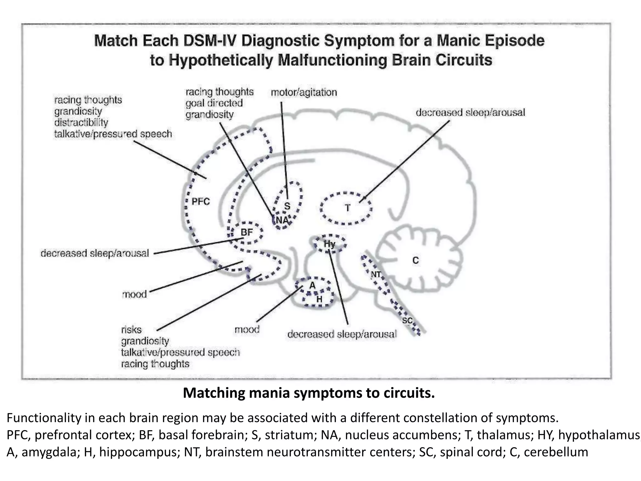 Neurobiology And Functional Brain Circuits In Mood Disorders Pptx Brain And Nervous System