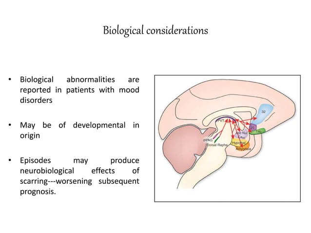 Neurobiology And Functional Brain Circuits In Mood Disorders Pptx Brain And Nervous System