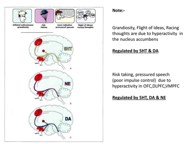 Neurobiology And Functional Brain Circuits In Mood Disorders Pptx Brain And Nervous System
