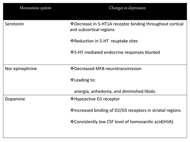 Neurobiology And Functional Brain Circuits In Mood Disorders Pptx Brain And Nervous System