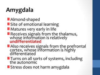 The NEATS: Neurobiology | PPT