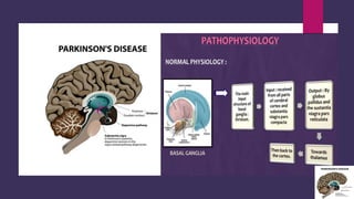 Neurobiology final project | PDF | Brain and Nervous System Disorders ...