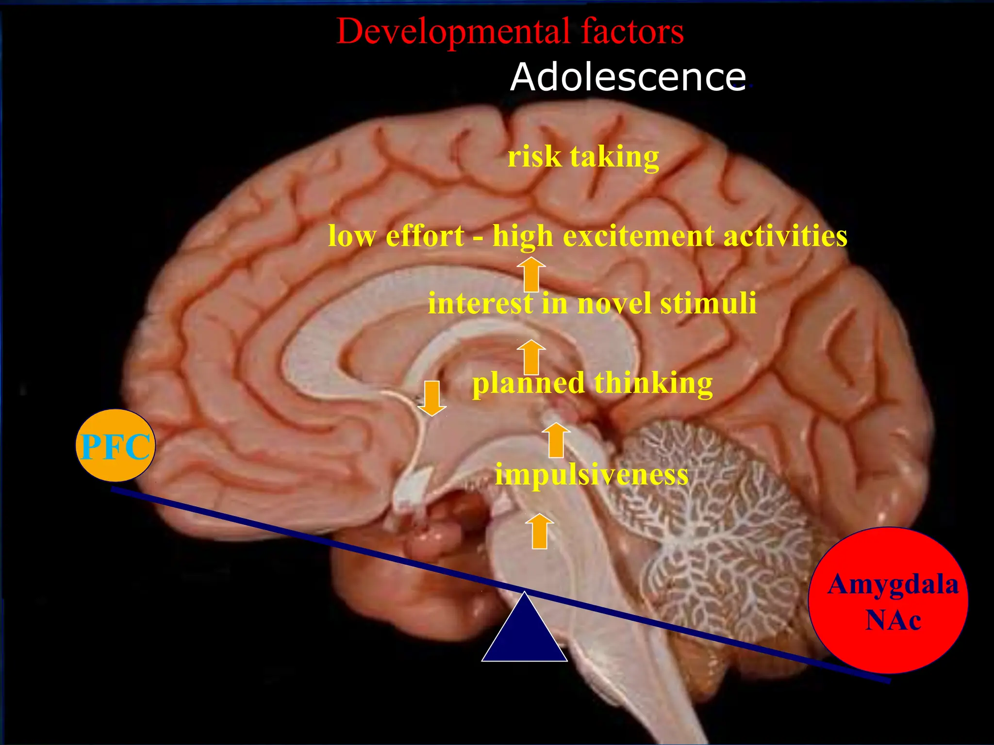Addiction pptx neurology biological factors | PPTX