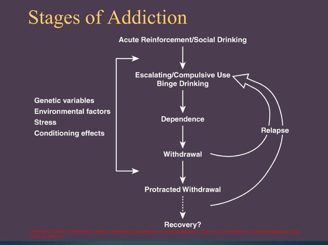 Addiction pptx neurology biological factors | PPT