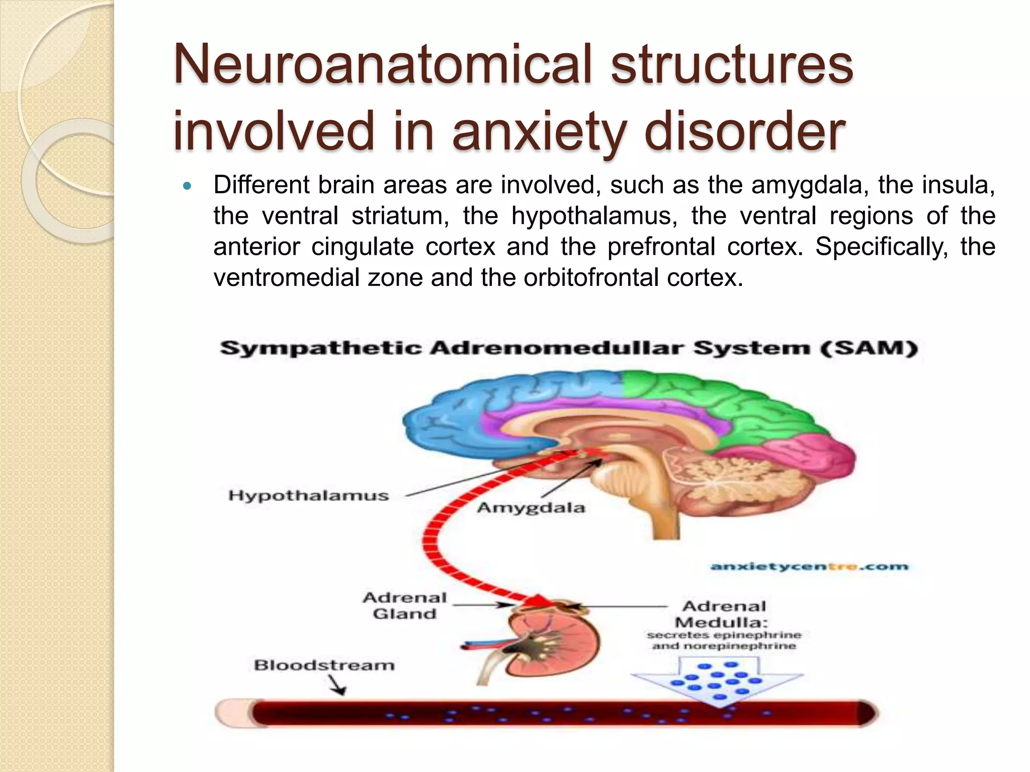 Neurobiology of anxiety in times of pandemic | PPTX