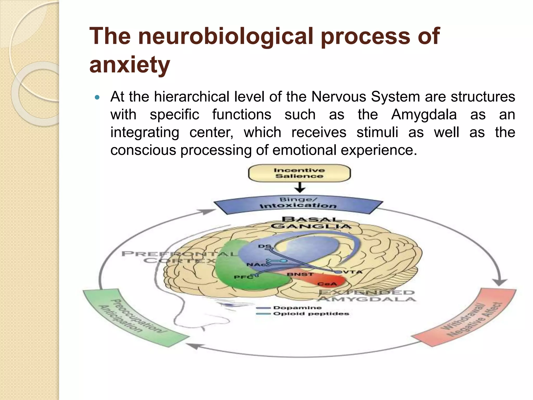 Neurobiology of anxiety in times of pandemic | PPTX