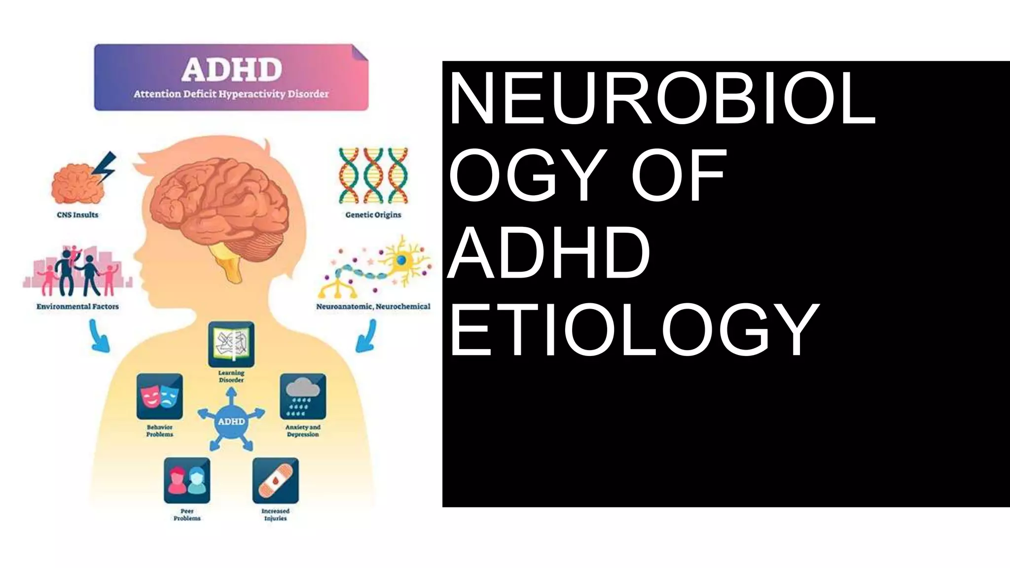 Neurobiology of attention deficit hyperactivity disorder | PPTX