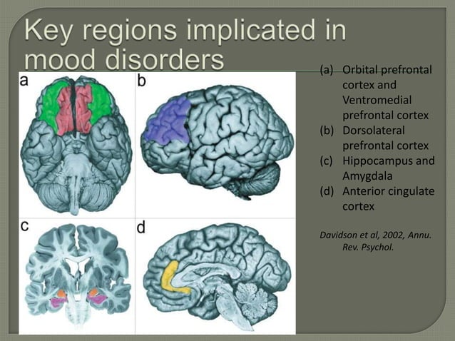 Neurobiology of depression | PPTX