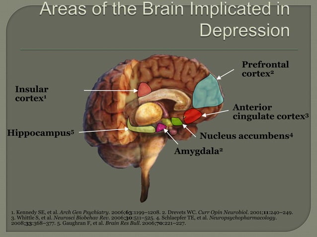 Neurobiology of depression | PPTX
