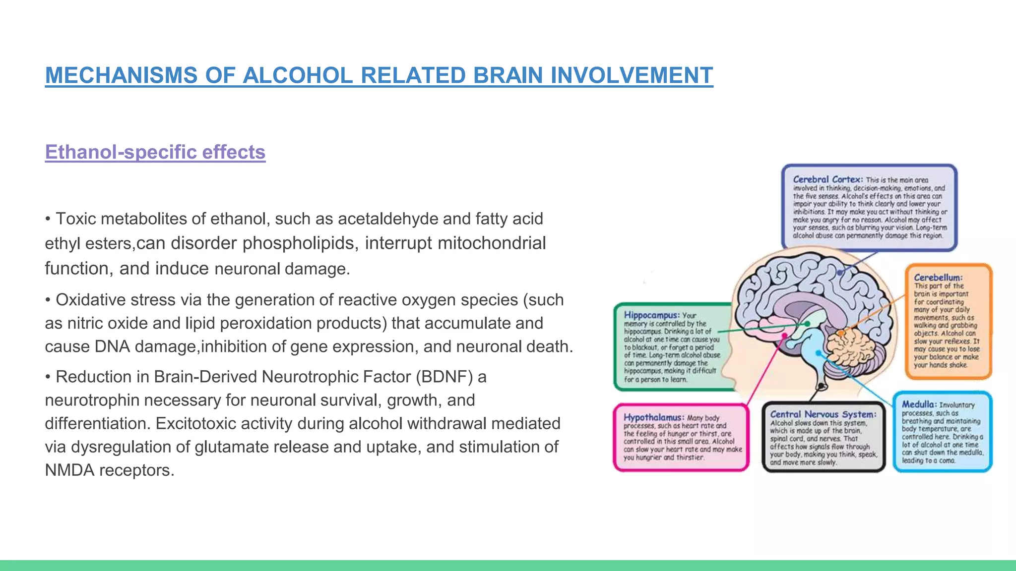 Neurobiology of Drinking | PPTX