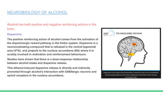Neurobiology of Drinking | PPTX