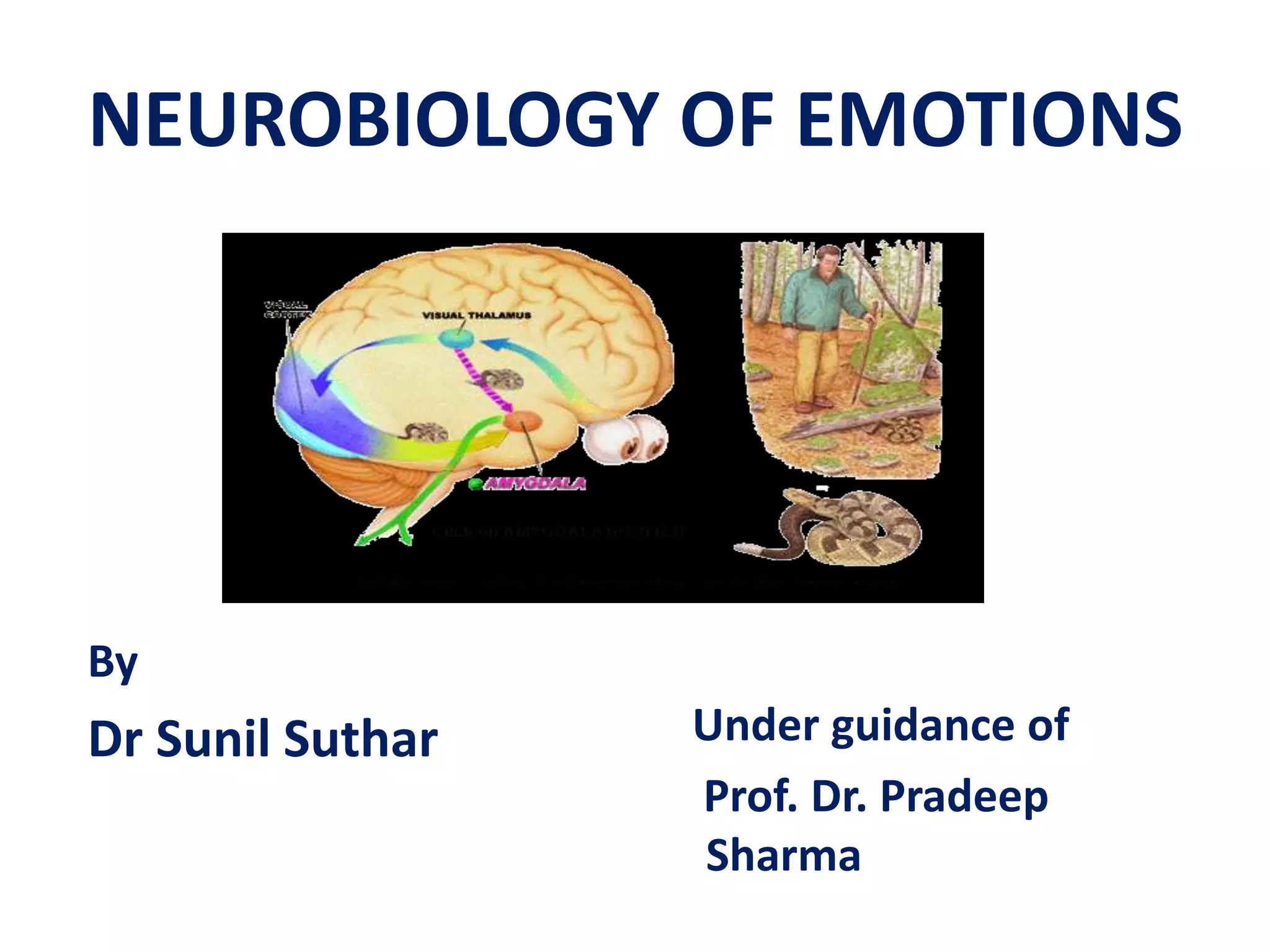 Neurobiology of emotion | PPTX