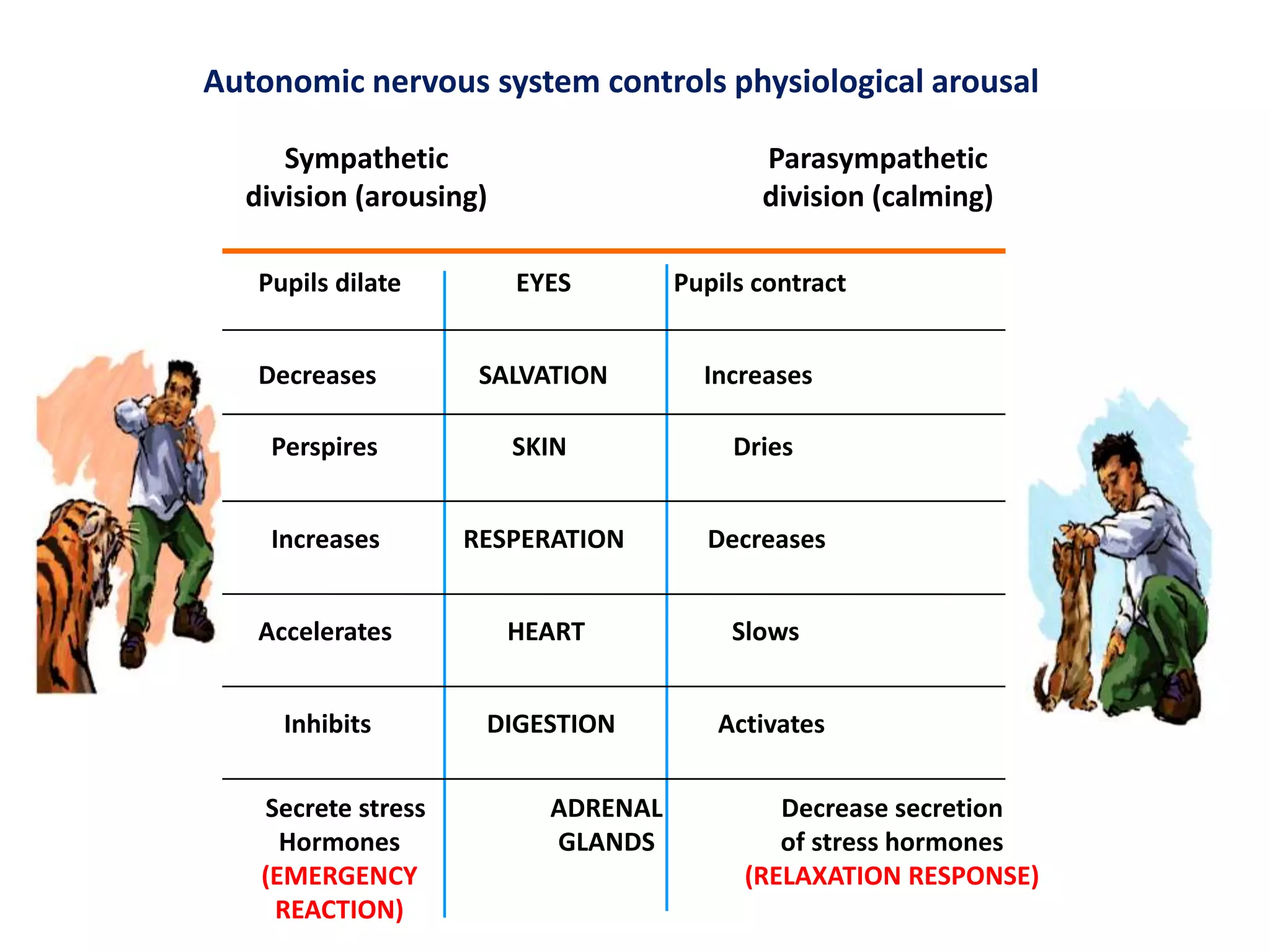 Neurobiology of emotion | PPTX