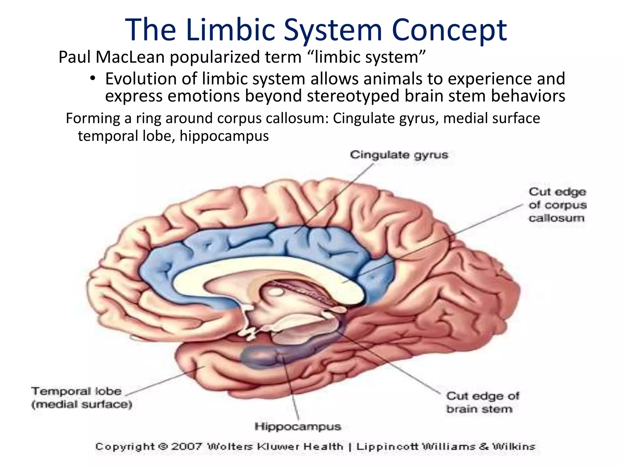 Neurobiology of emotion | PPTX