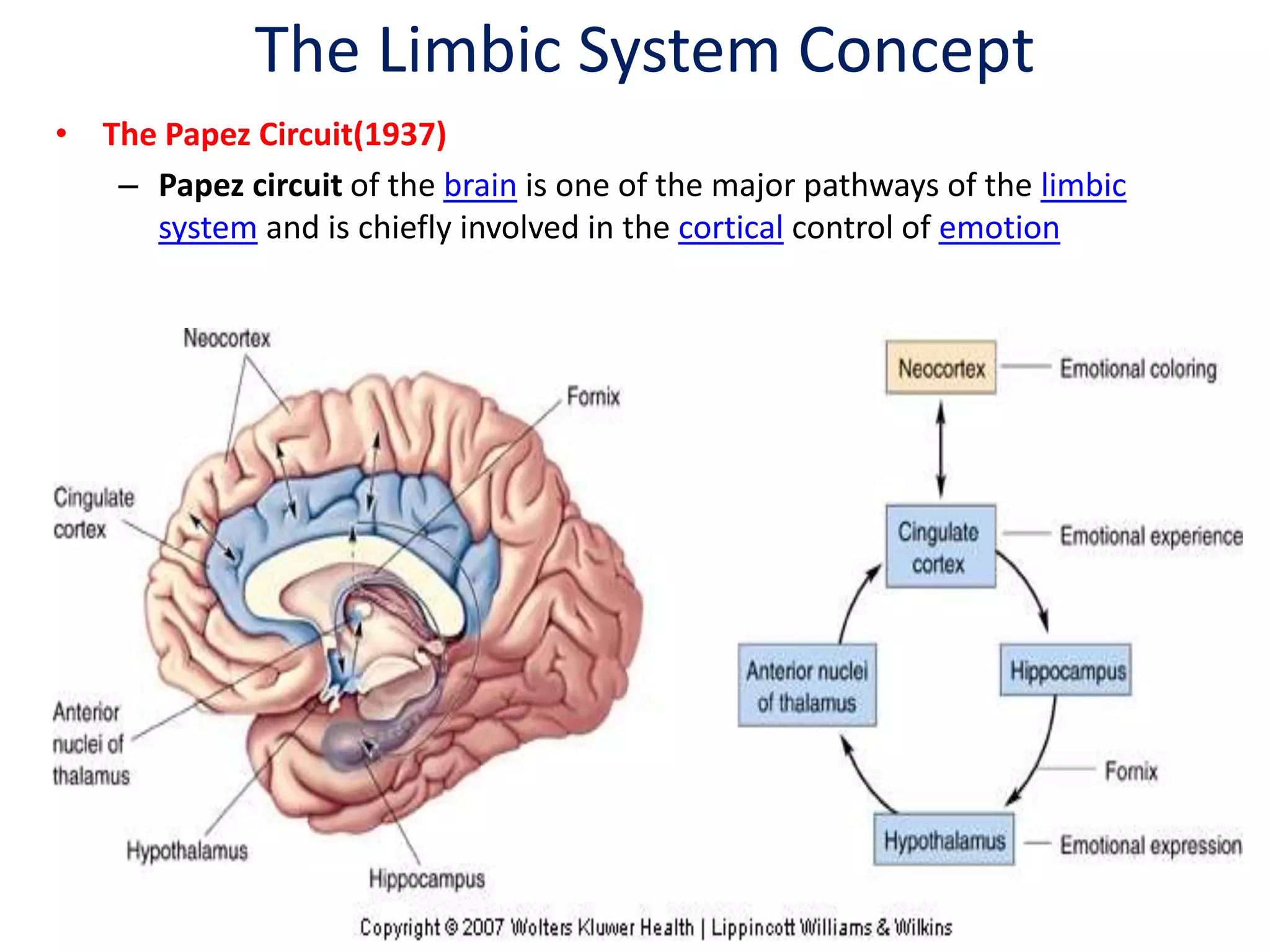 Neurobiology of emotion | PPTX