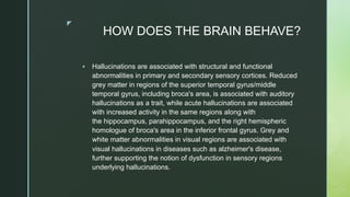 Neurobiology of Everyday Life: Hallucinations | PPT