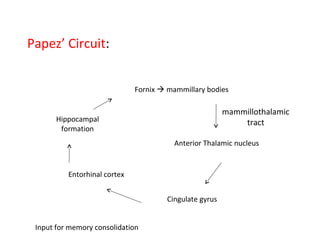 Neurobiology of memory | PPT