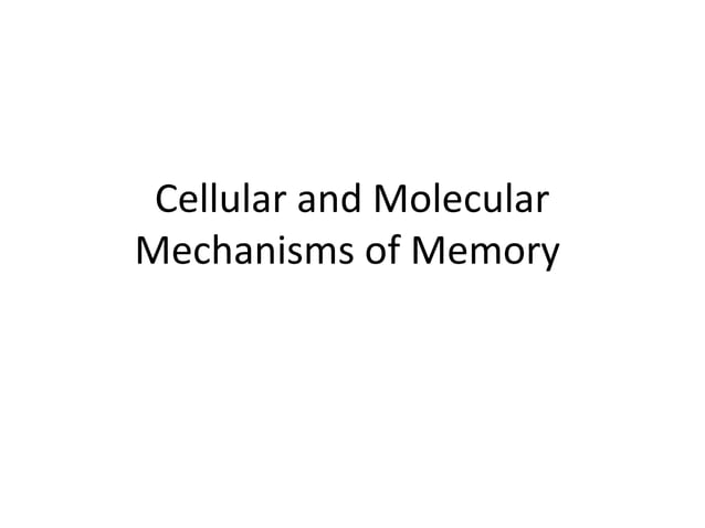 Neurobiology of memory | PPT