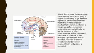 Neurobiology of motivation | PPTX