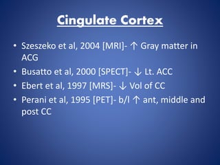 Cingulate Cortex Ocd