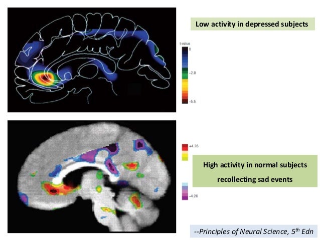 Neurobiology of psychopathic behavior