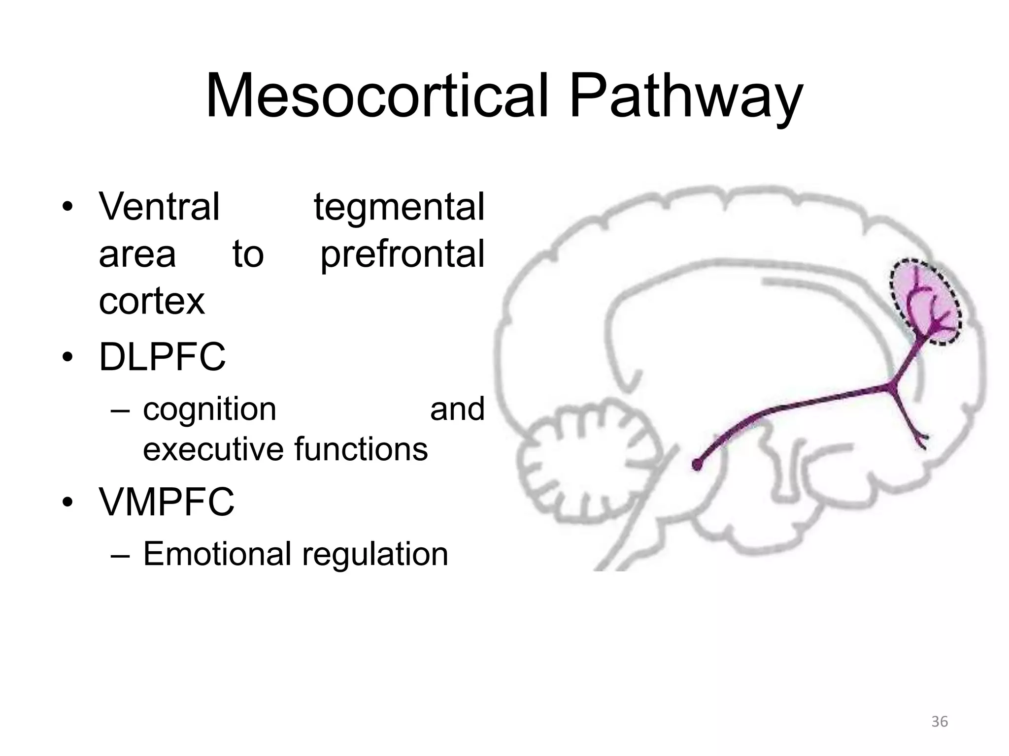 Neurobiology of schizophrenia | PPTX