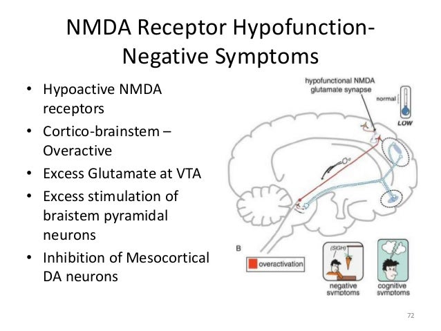 Neurobiology of schizophrenia